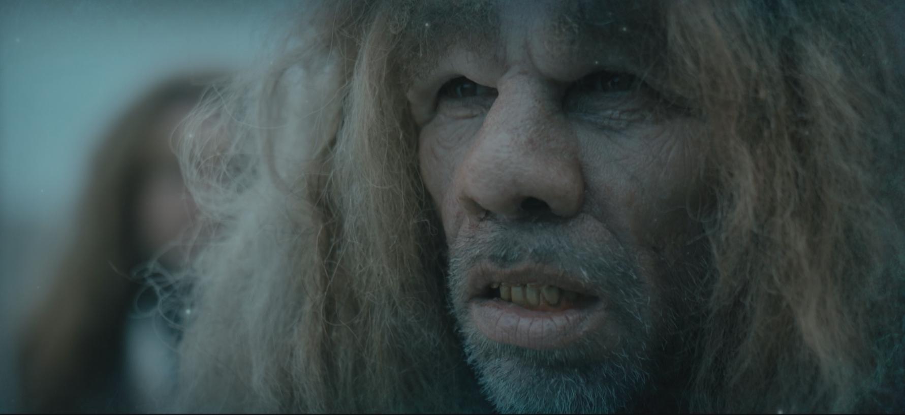 Het verhaal van Vlaanderen: 6 belgische musea over de prehistorie ...